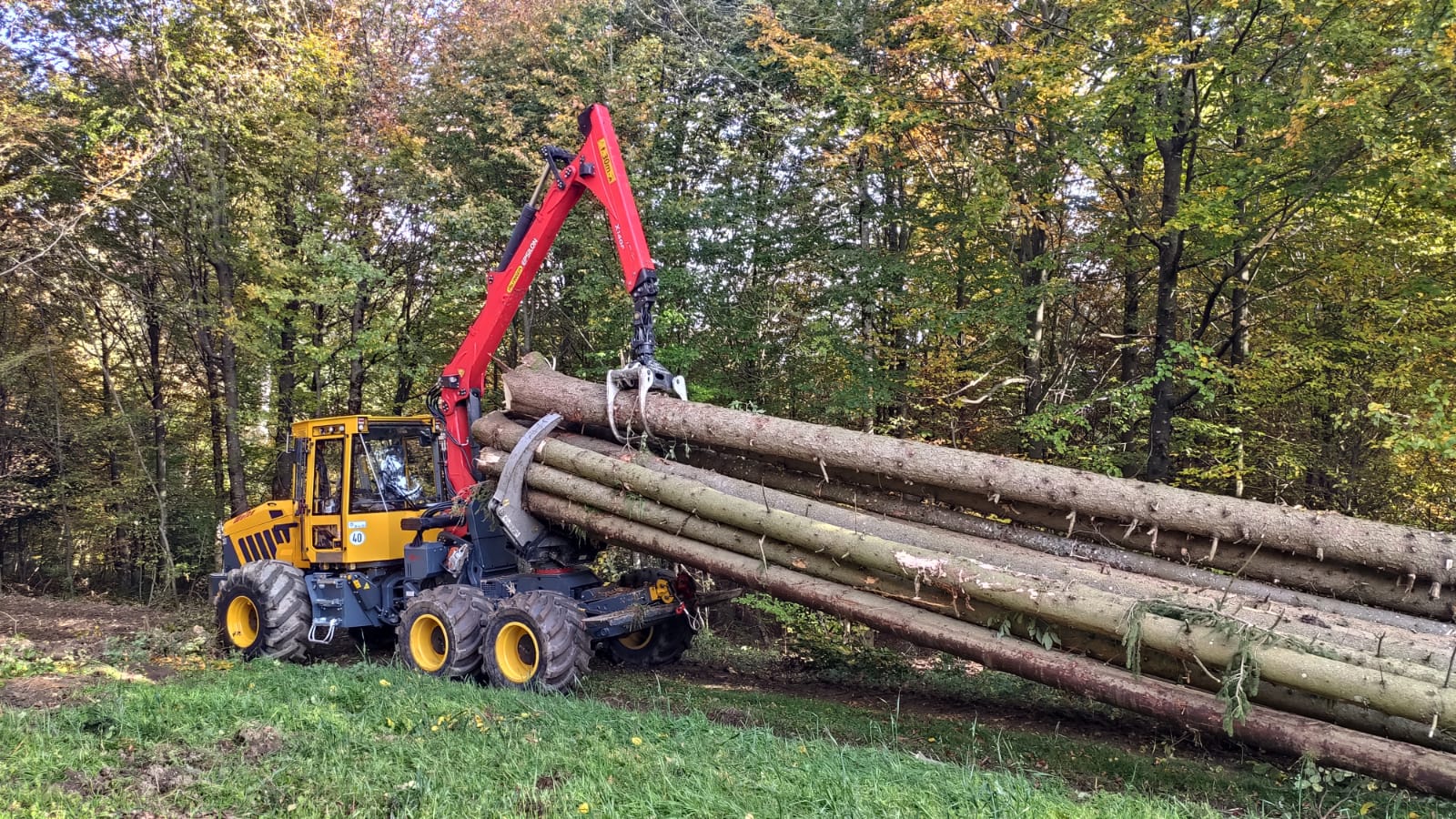 Forstservice Schnaitter - Welte W210K